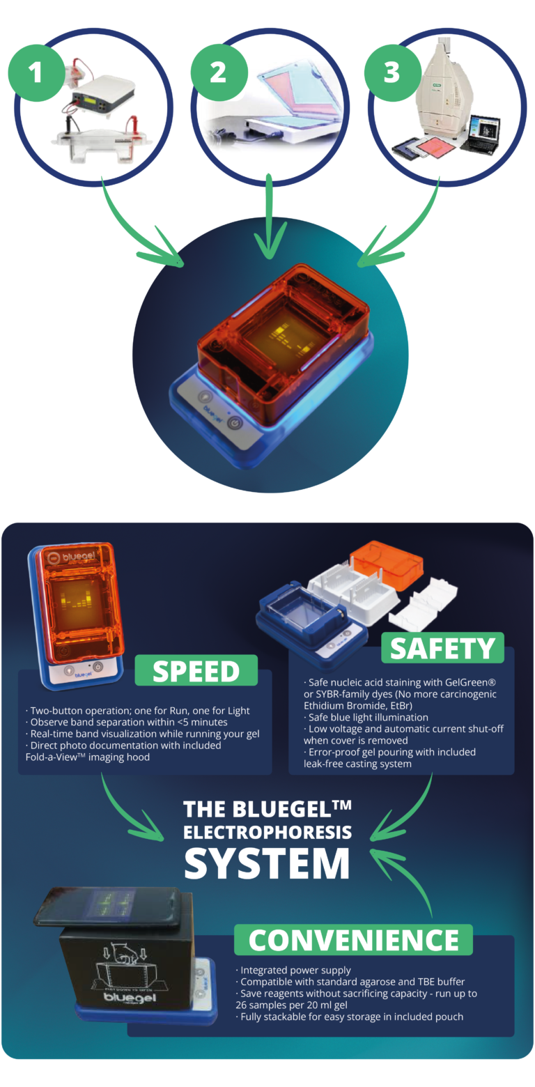 The BlueGel™ Electrophoresis System – IT TECH