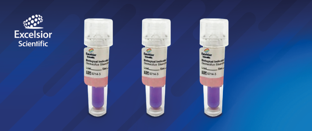 Excelsior – IT TECH